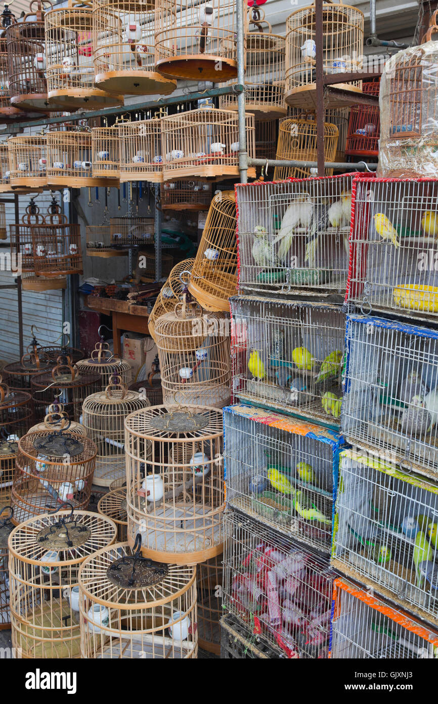 Shili hi-res stock photography and images - Alamy