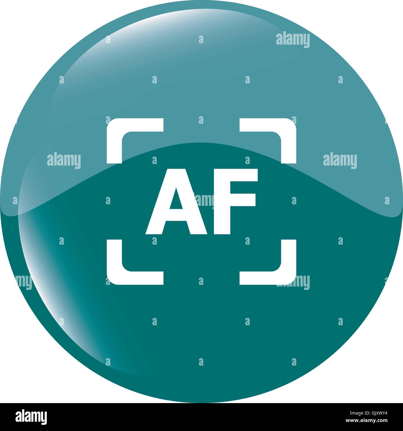 Autofocus photo camera sign icon. AF Settings symbol Stock Vector Image ...