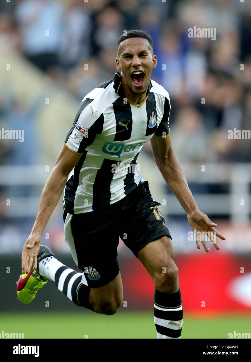 Newcastle uniteds isaac hayden celebrates scoring hi-res stock ...
