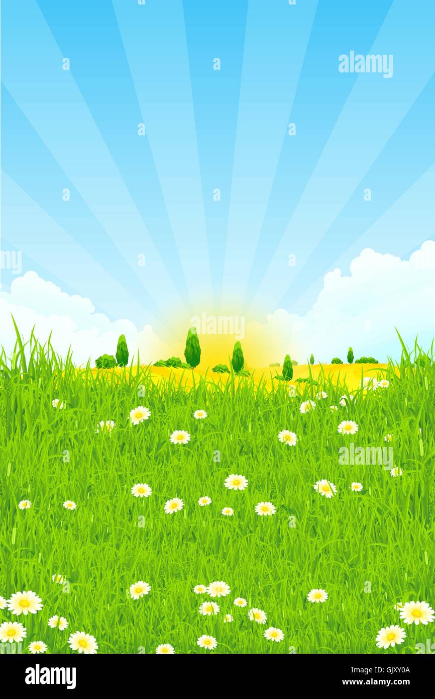 Green Landscape with trees Stock Vector Image & Art - Alamy