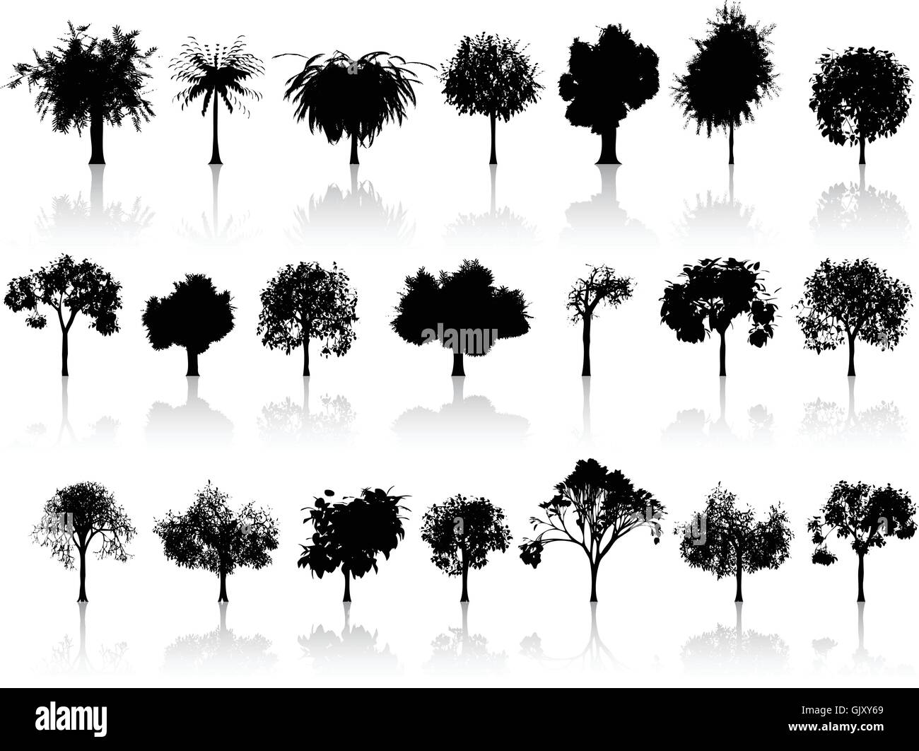 set of trees Stock Vector Image & Art - Alamy