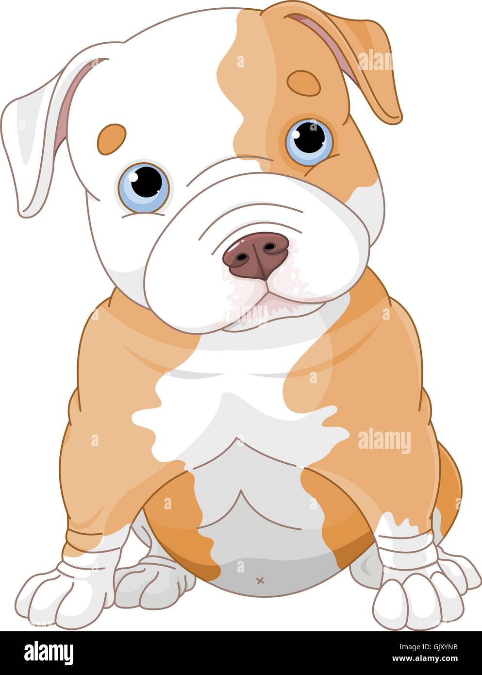 Portrait young bull Stock Vector Images - Alamy