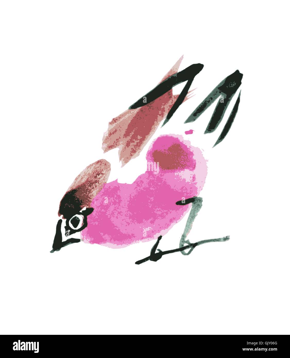 watercolor drawing bird, robin at white background Stock Vector Image ...