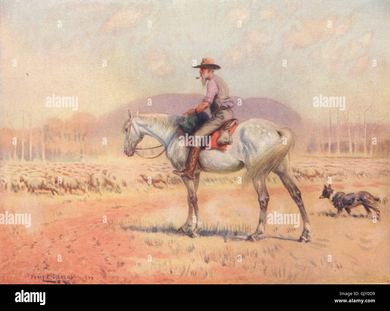 'A sheep drover' by Percy Spence. Australia, antique print 1910 Stock ...