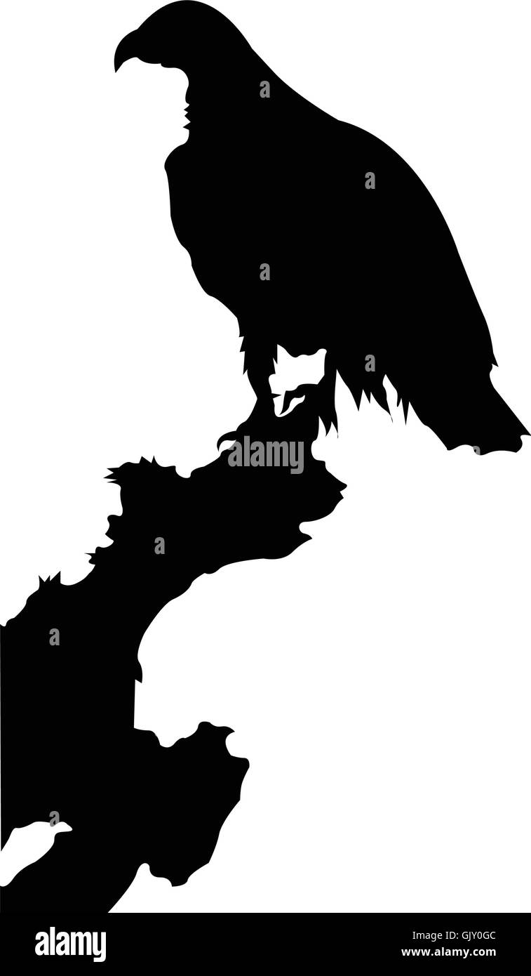 Indian symbol bird hi-res stock photography and images - Alamy