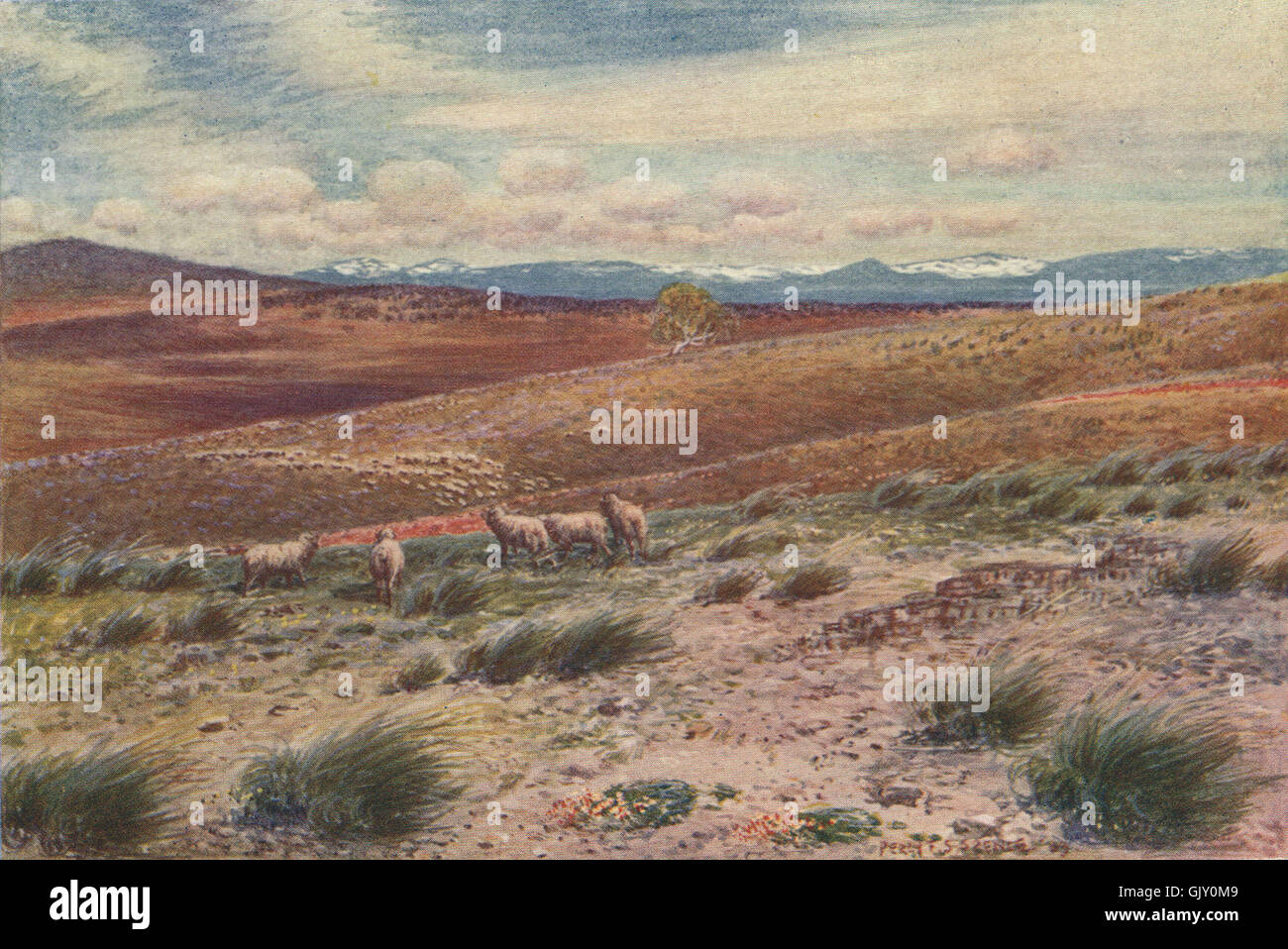 The Snowy Mountains; near to Federal Capital site. Percy Spence ...