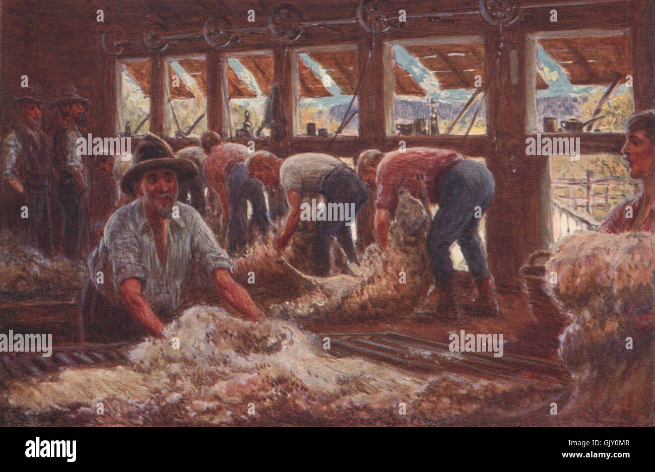 Australian sheep shearing hi-res stock photography and images - Alamy