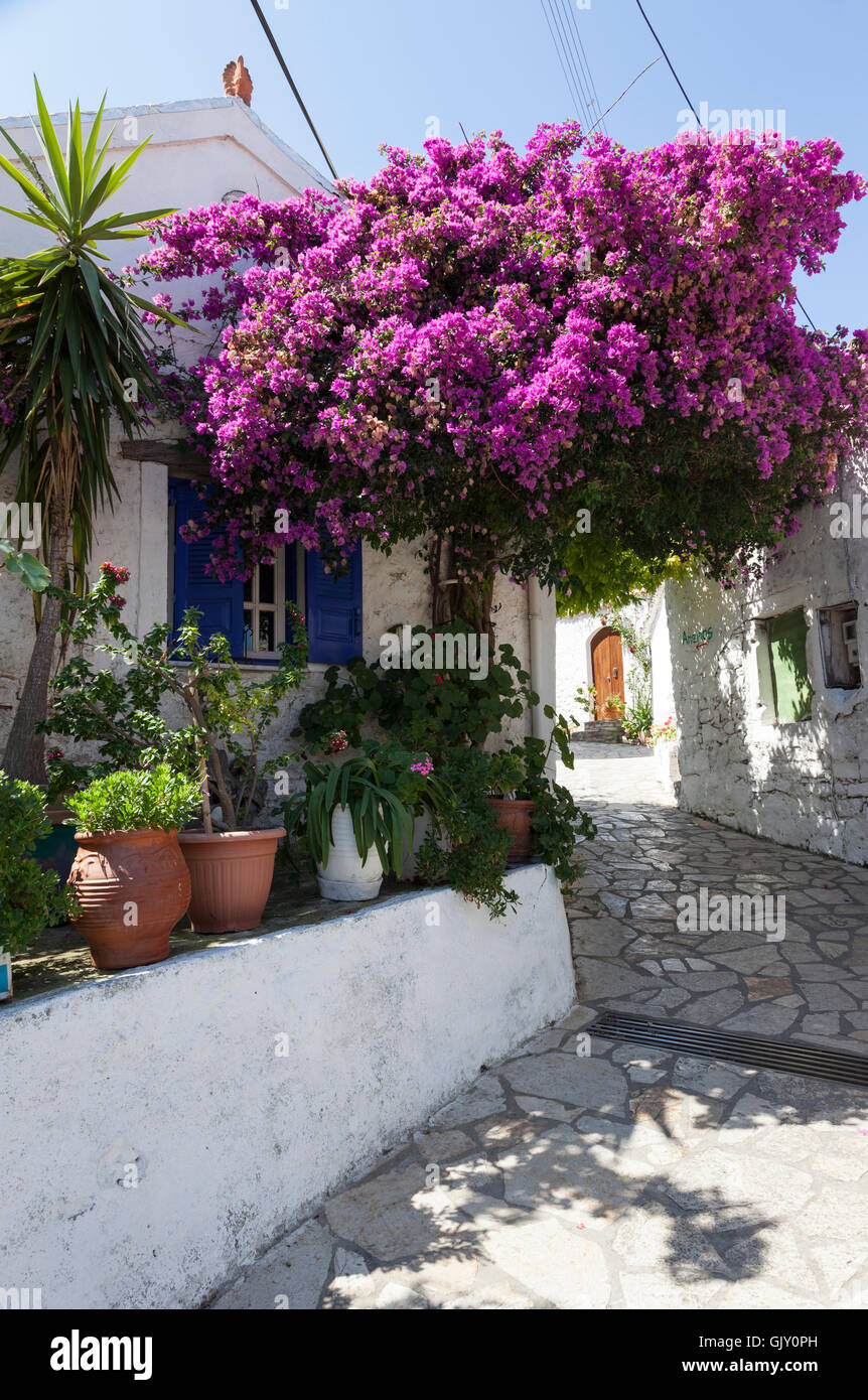 The Greek village of Afionas, Corfu, Ionian Island, Greek Islands ...