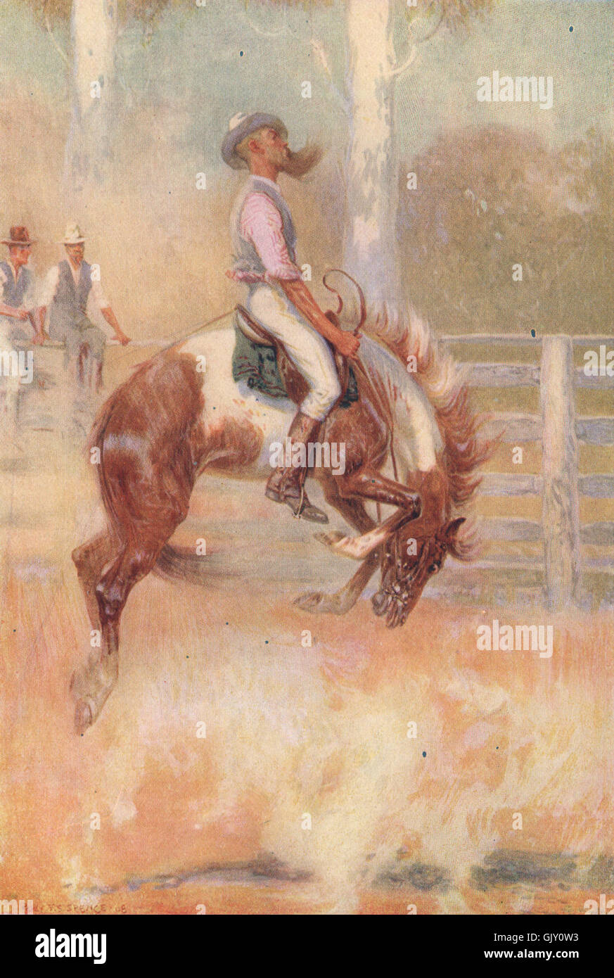 'An Australian buck-jumper' by Percy Spence. Australia. Rodeo, old ...
