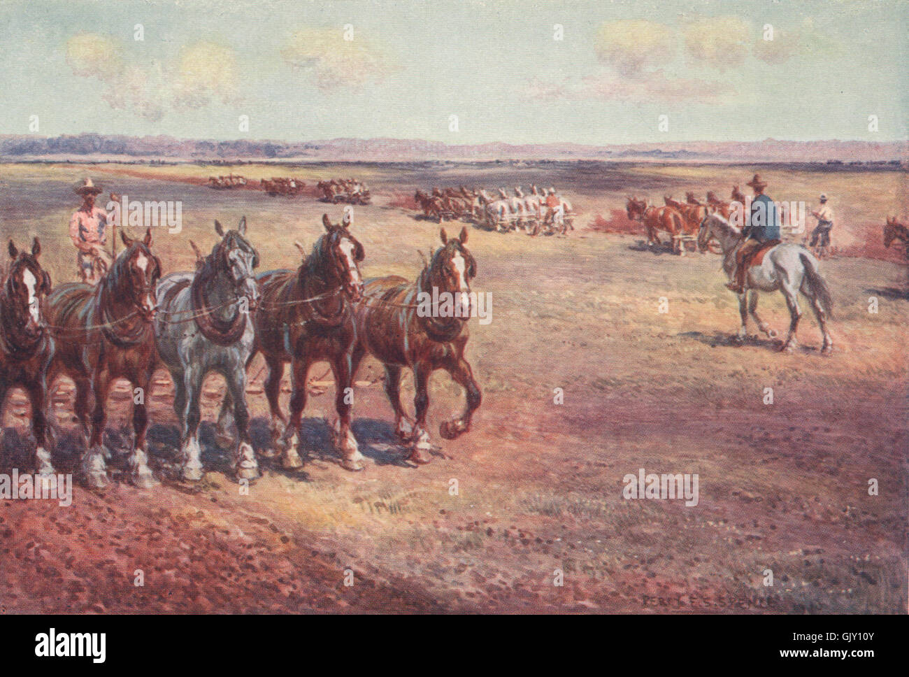 'A big ploughing' by Percy Spence. Australia, antique print 1910 Stock ...