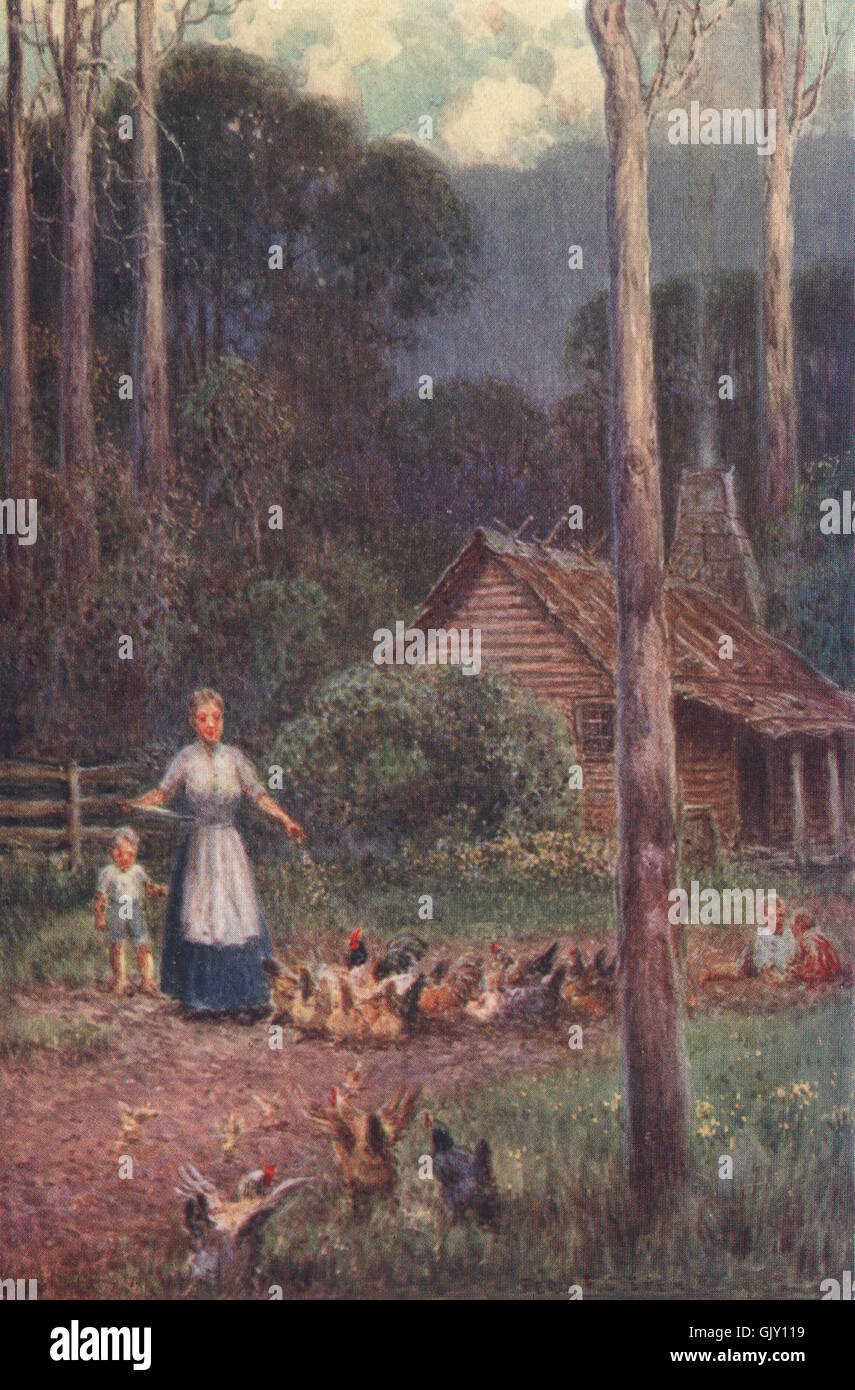 'A bush hut' by Percy Spence. Australia, antique print 1910 Stock Photo ...