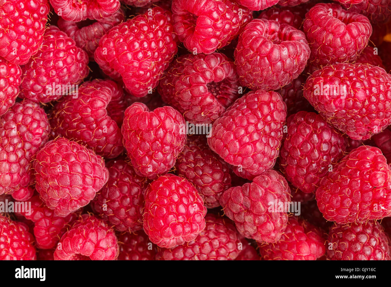 Background made of many fresh red raspberries Stock Photo - Alamy