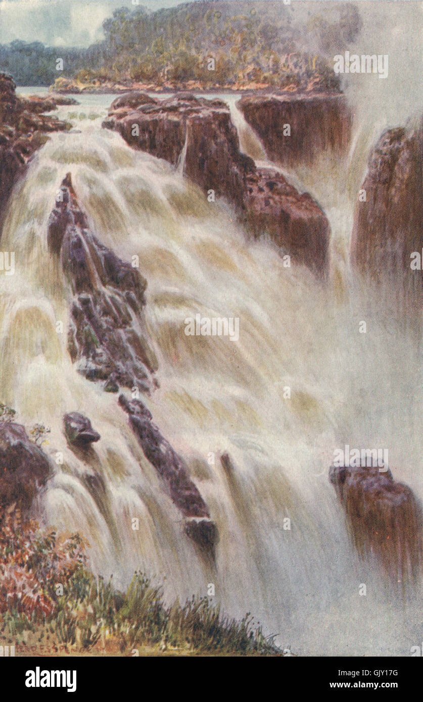 'The Barron Falls, Queensland' by Percy Spence. Australia, antique ...