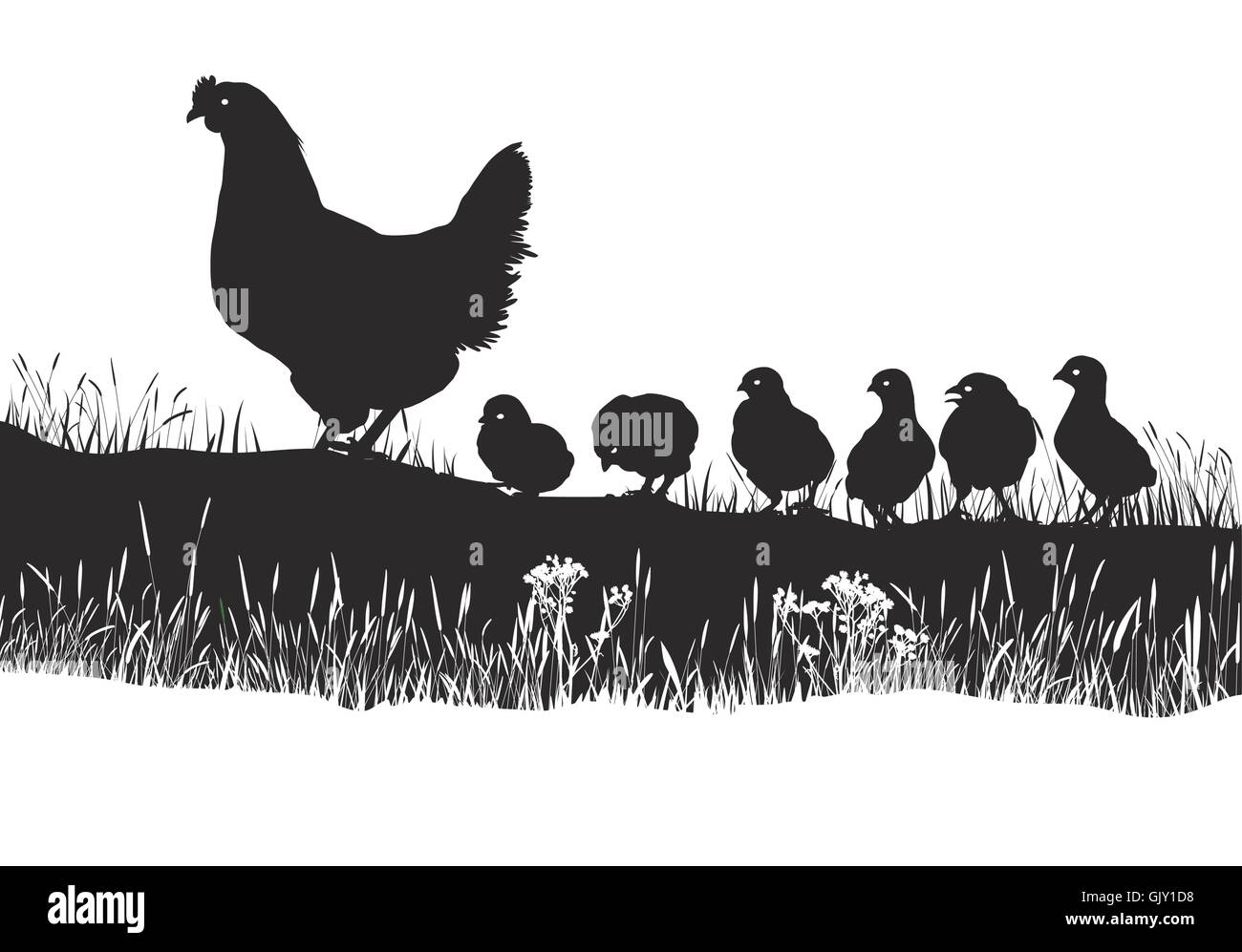 Its chicks Stock Vector Images - Alamy