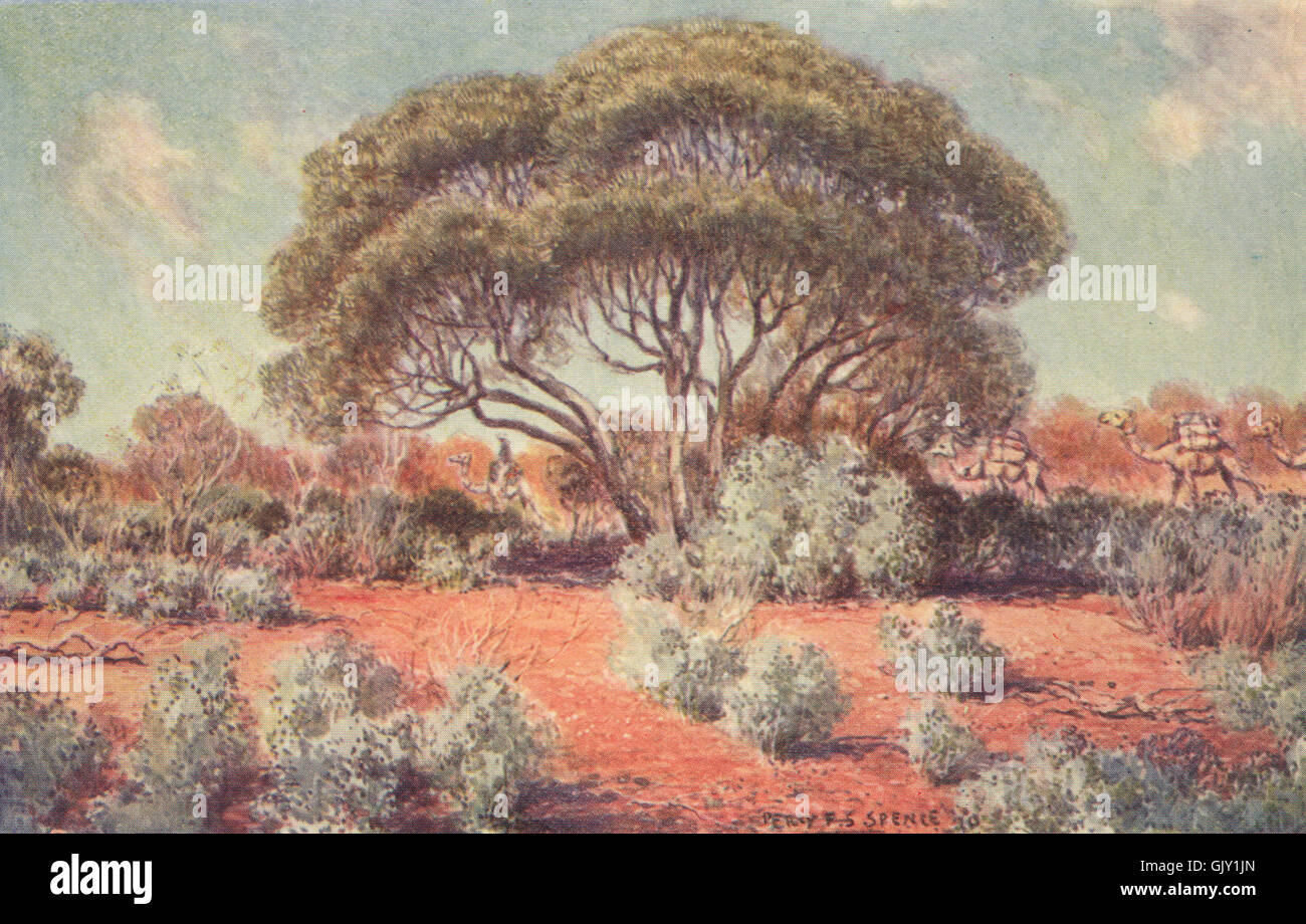 'It is not all desert in the heart of Australia' by Percy Spence, print ...