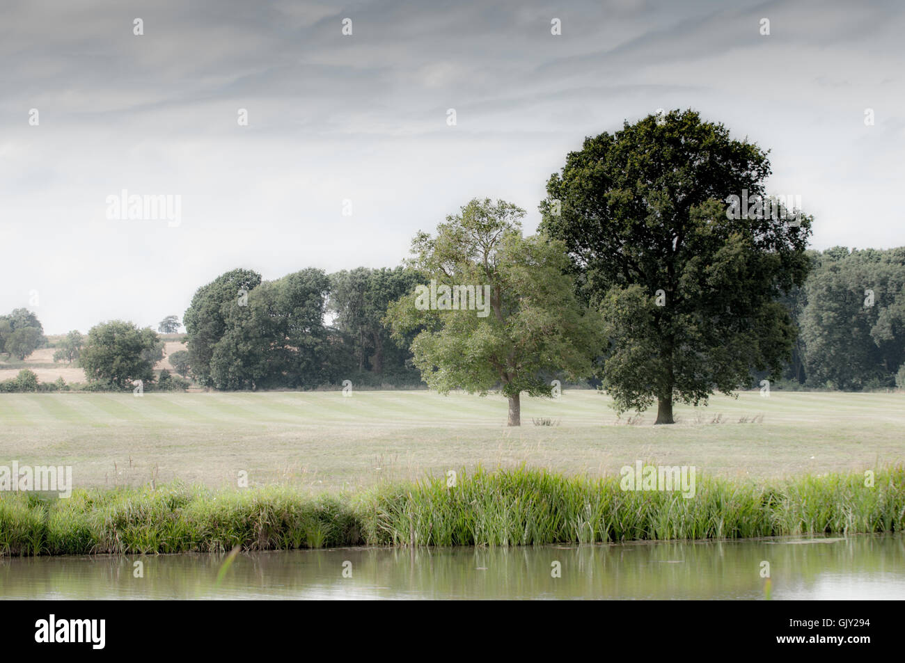 Countryside landscape in rural English countryside Stock Photo - Alamy