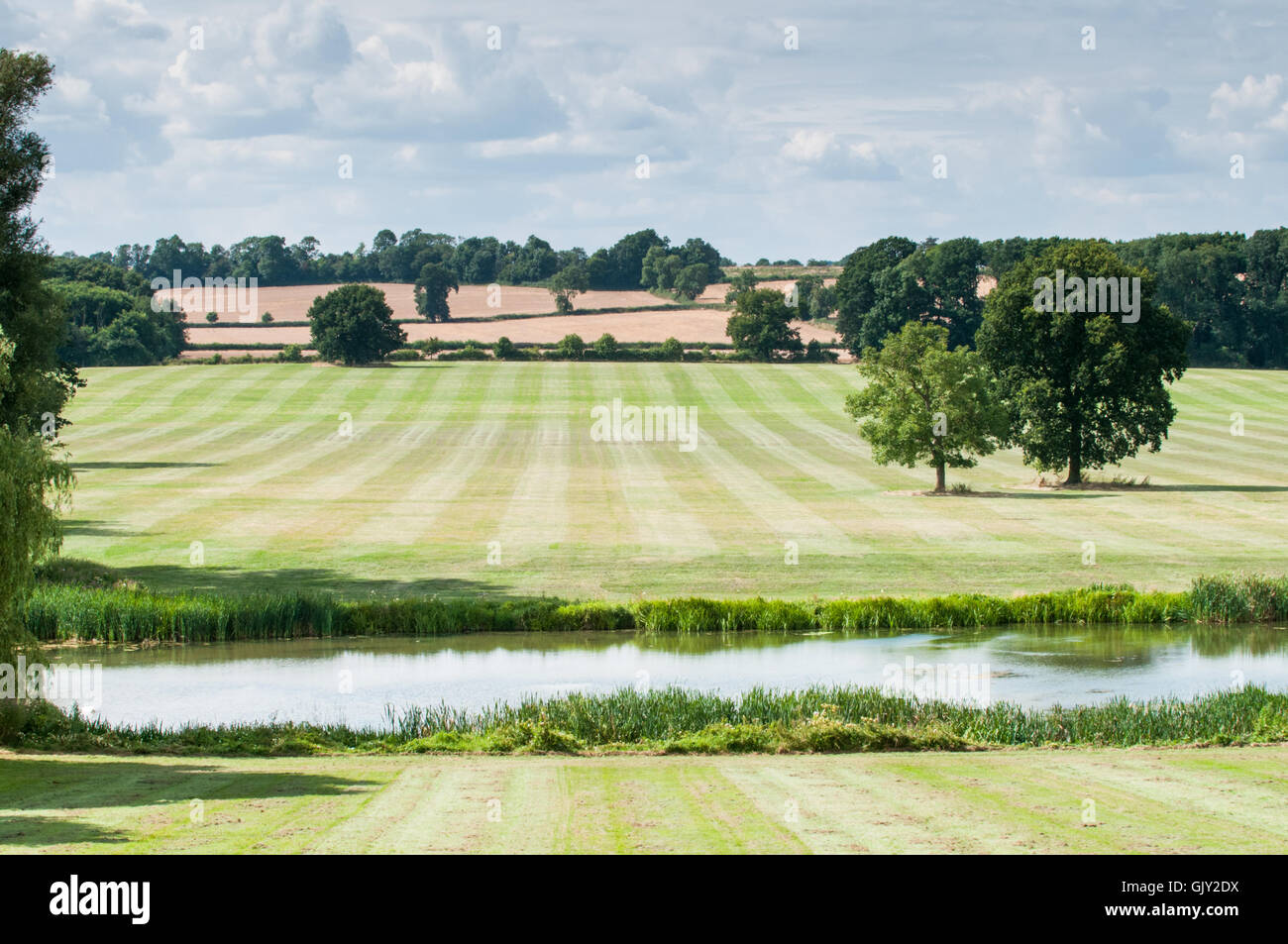 Countryside landscape in rural English countryside Stock Photo - Alamy