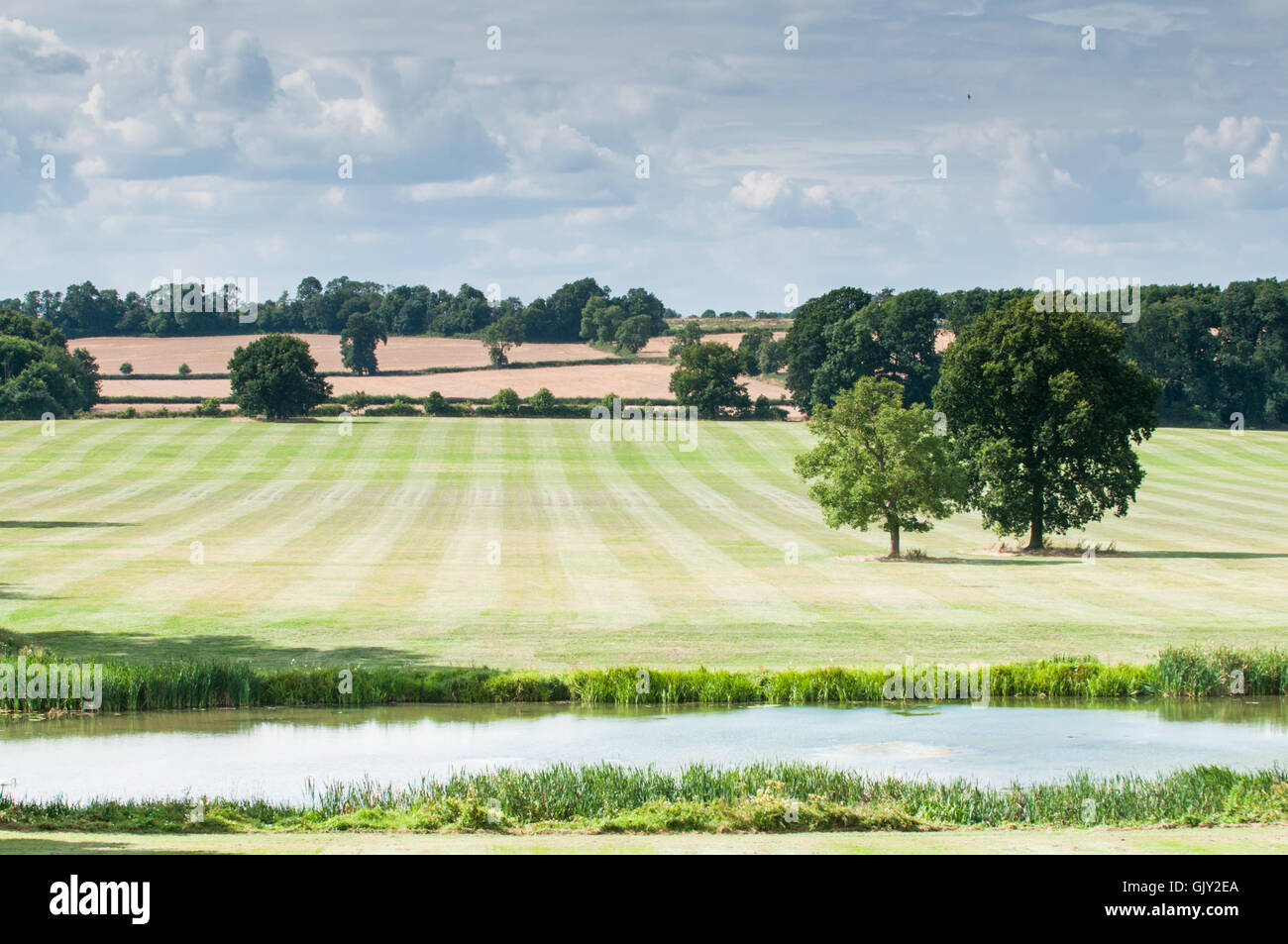 Countryside landscape in rural English countryside Stock Photo - Alamy