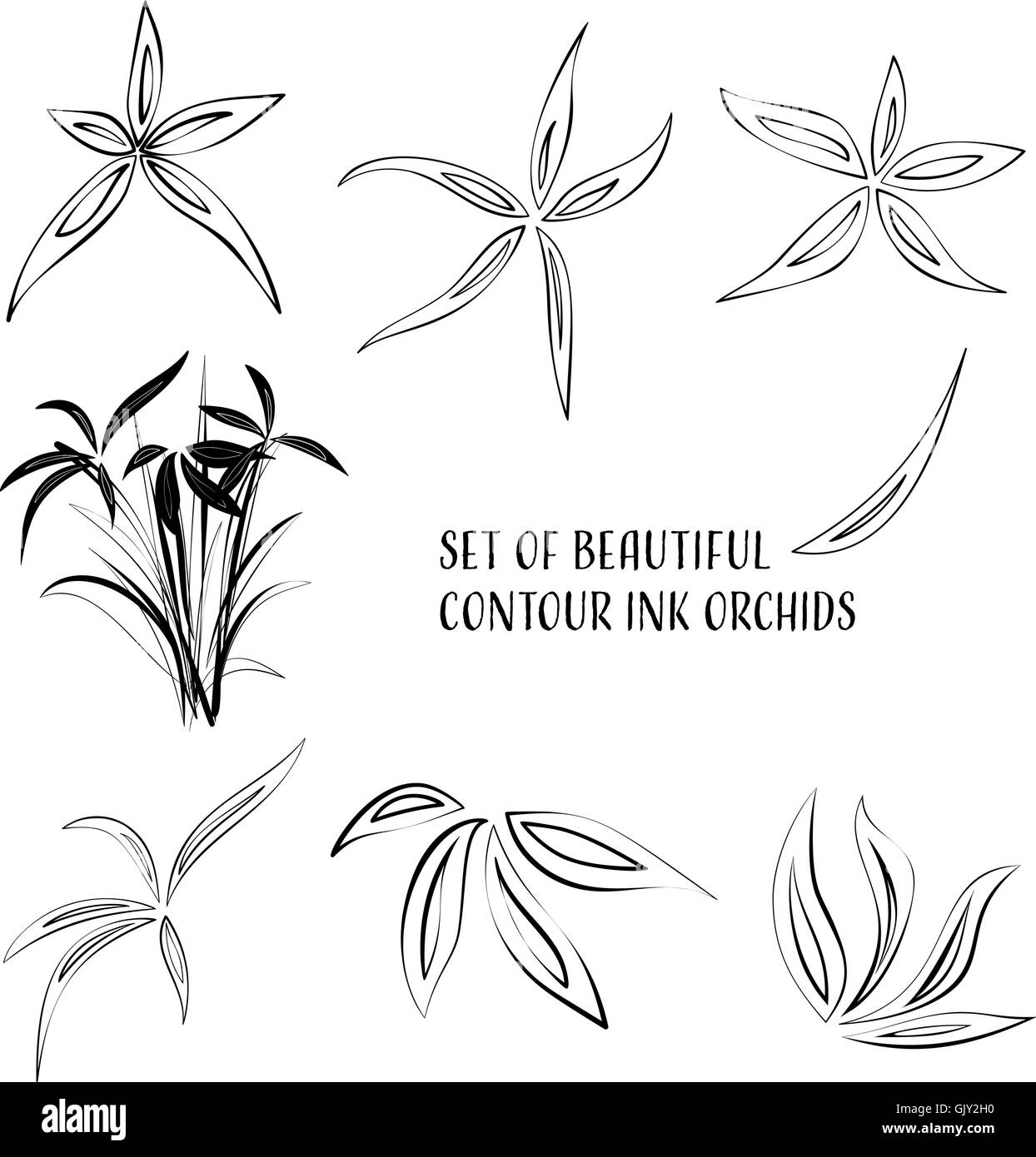 Contour ink flowers Stock Vector Image & Art - Alamy