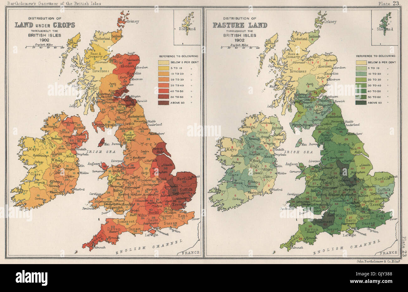 BRITISH ISLES AGRICULTURAL. Land under Crops/Pasture Land. BARTHOLOMEW ...
