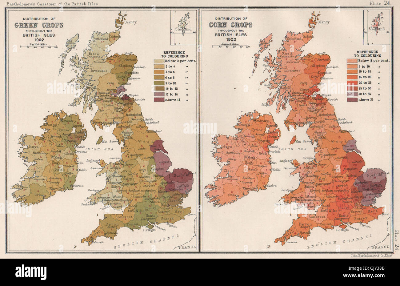 BRITISH ISLES ACRICULTURAL Green & Corn Crops distribution. BARTHOLOMEW ...