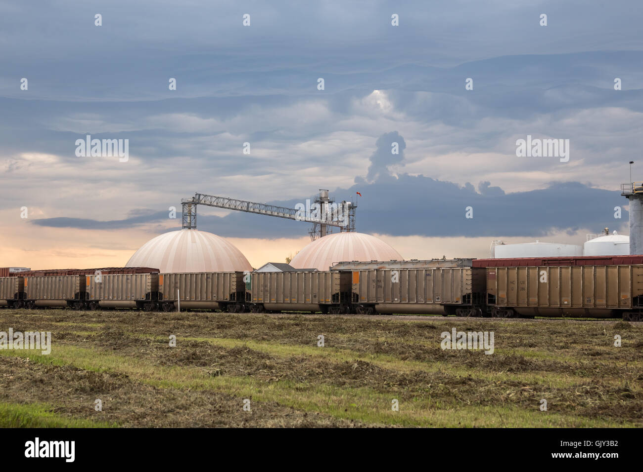 Grain processing plant rail hi-res stock photography and images - Alamy