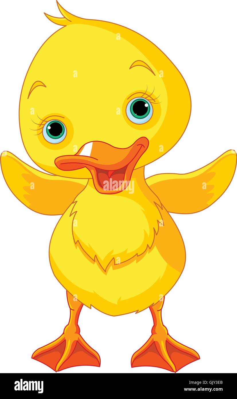 Duckling drawing hi-res stock photography and images - Alamy