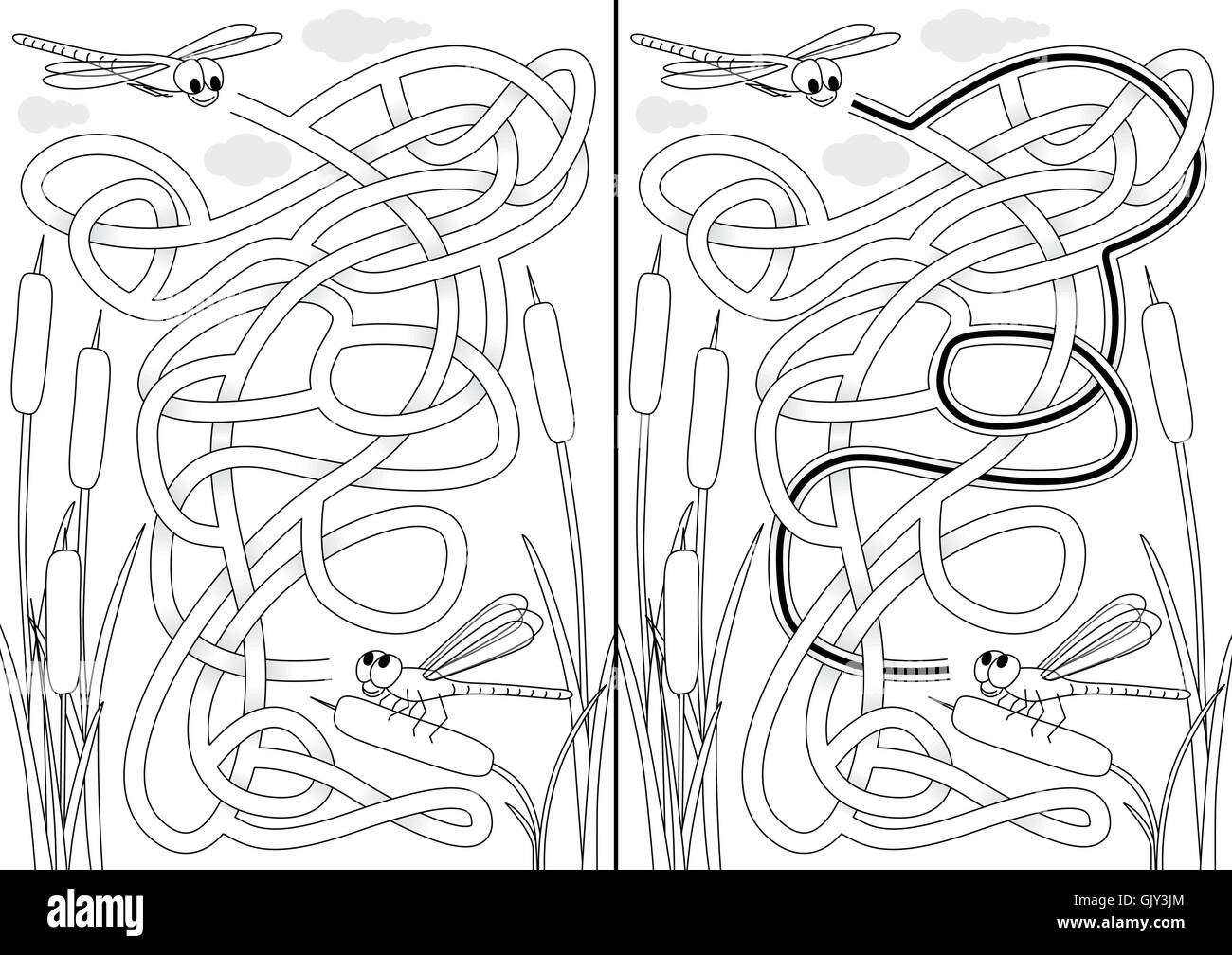 Reed labyrinth hi-res stock photography and images - Alamy