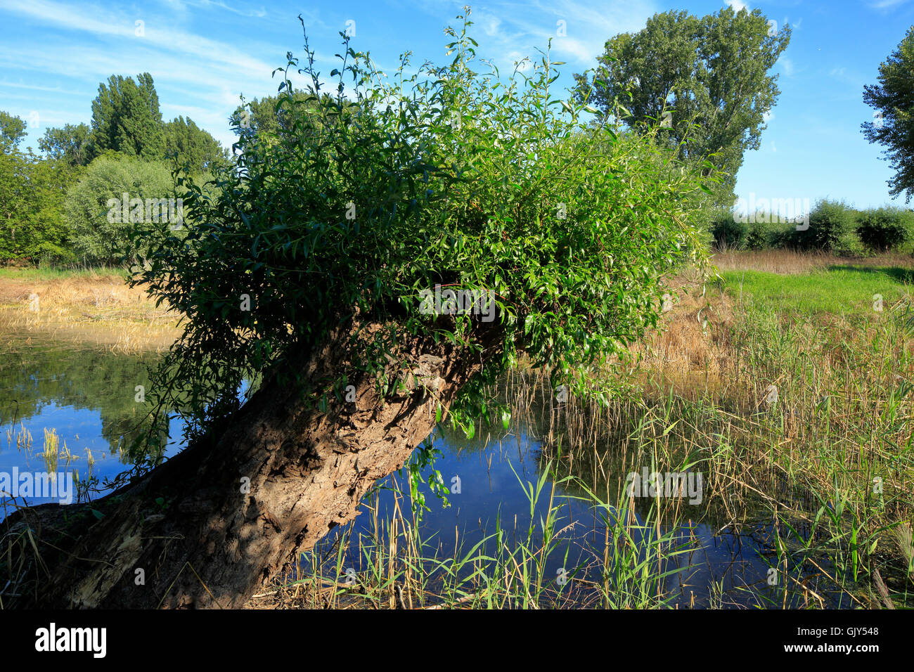 Rhine main plain hi-res stock photography and images - Alamy