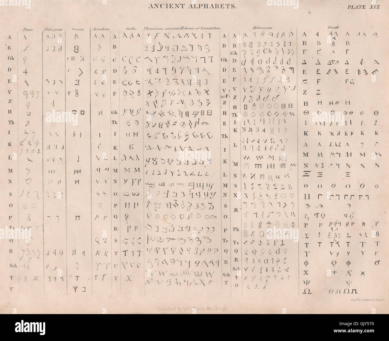 Ancient Alphabets. Punic Pelagasian Oscan Arcadian Gallic Hetruscan ...