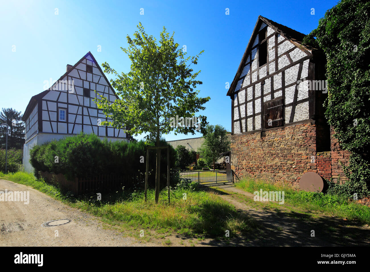 Worms ibersheim hi-res stock photography and images - Alamy