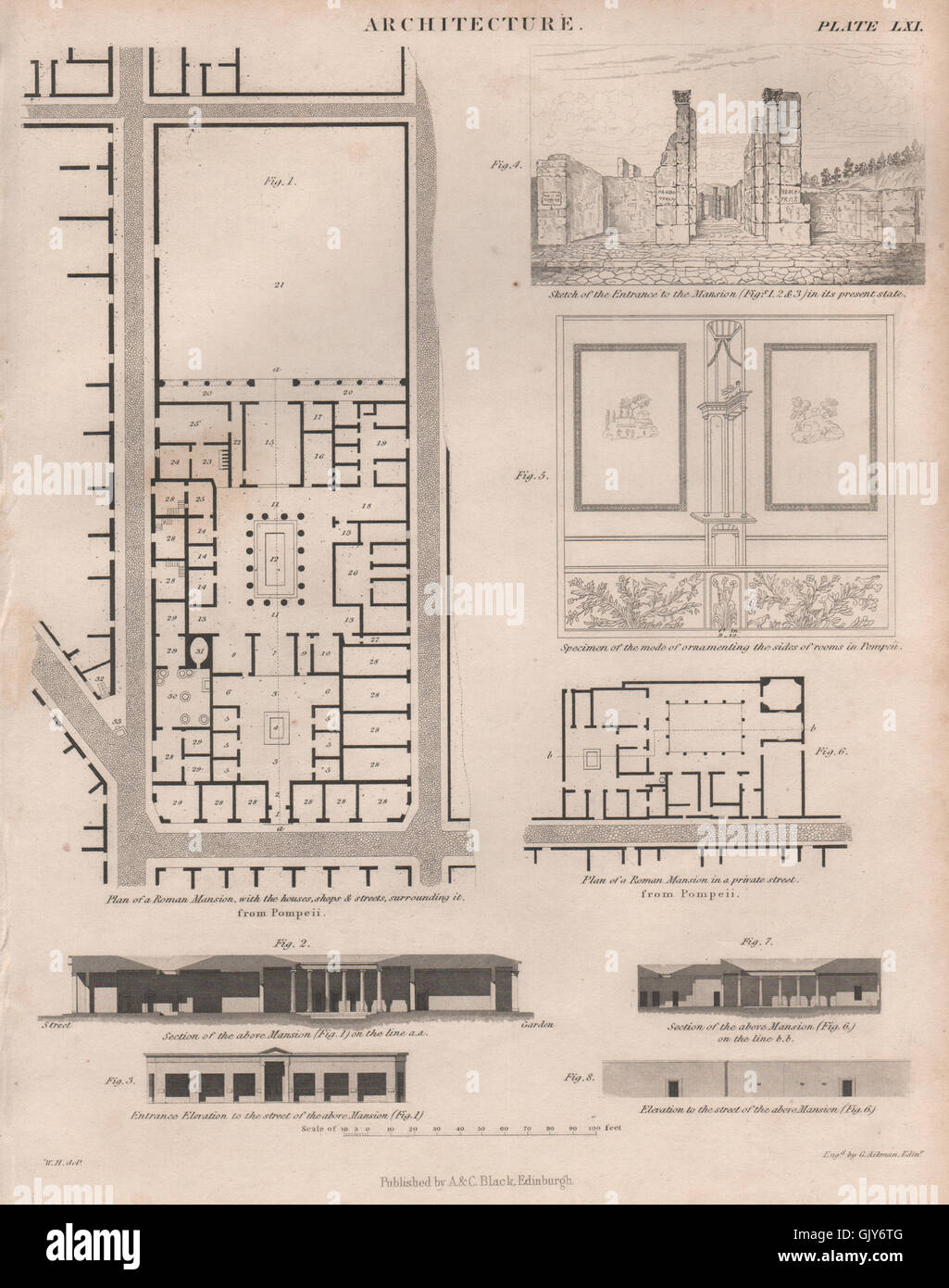 Pompeii Architecture. Plan of Roman Mansion & nearby houses shops ...