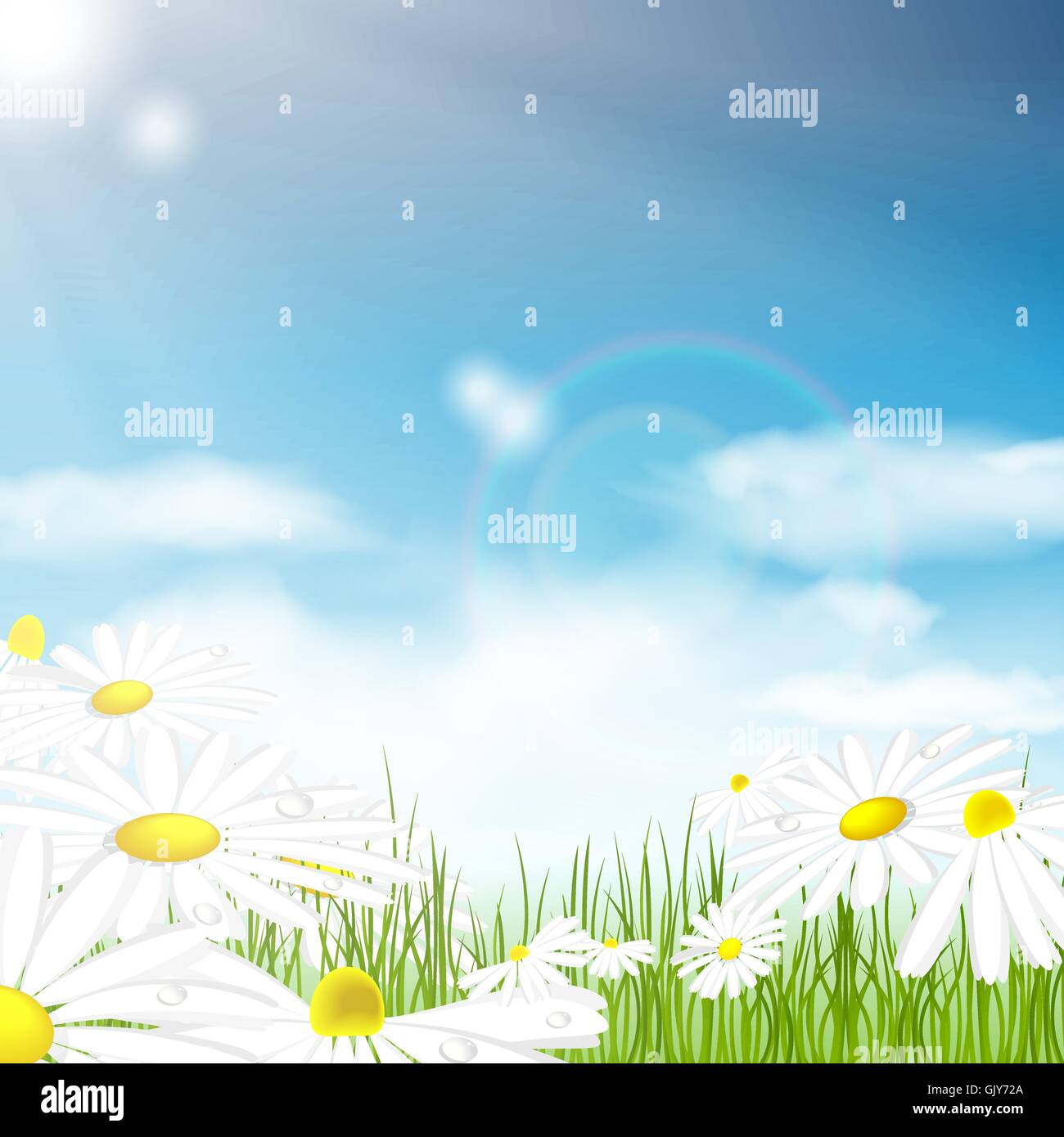 bright summer vector background Stock Vector Image & Art - Alamy