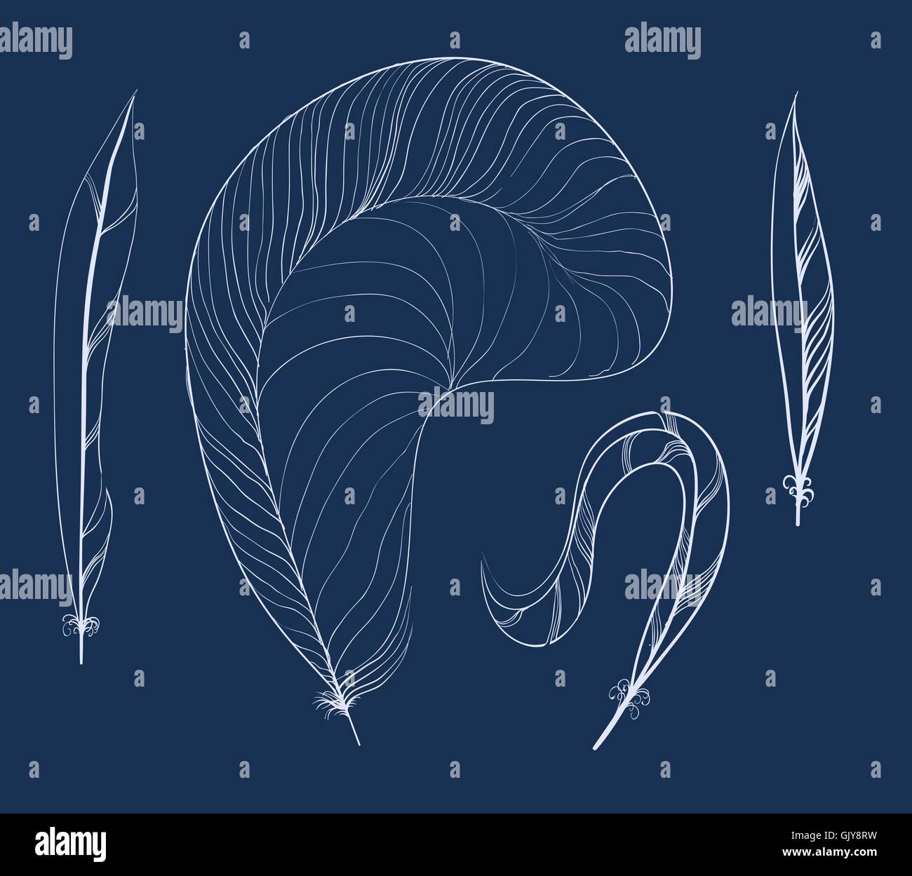 Vector Set of Sketch Plumage Stock Vector Image & Art - Alamy