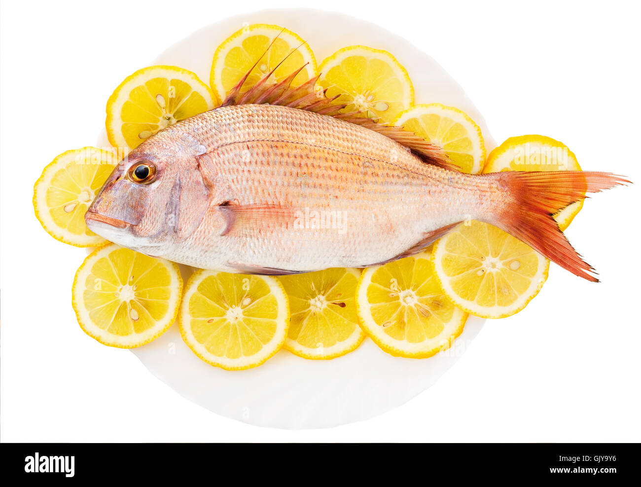 Fish scales close up Cut Out Stock Images & Pictures - Alamy