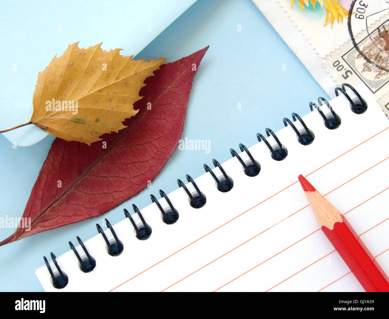Letter write memory hi-res stock photography and images - Alamy