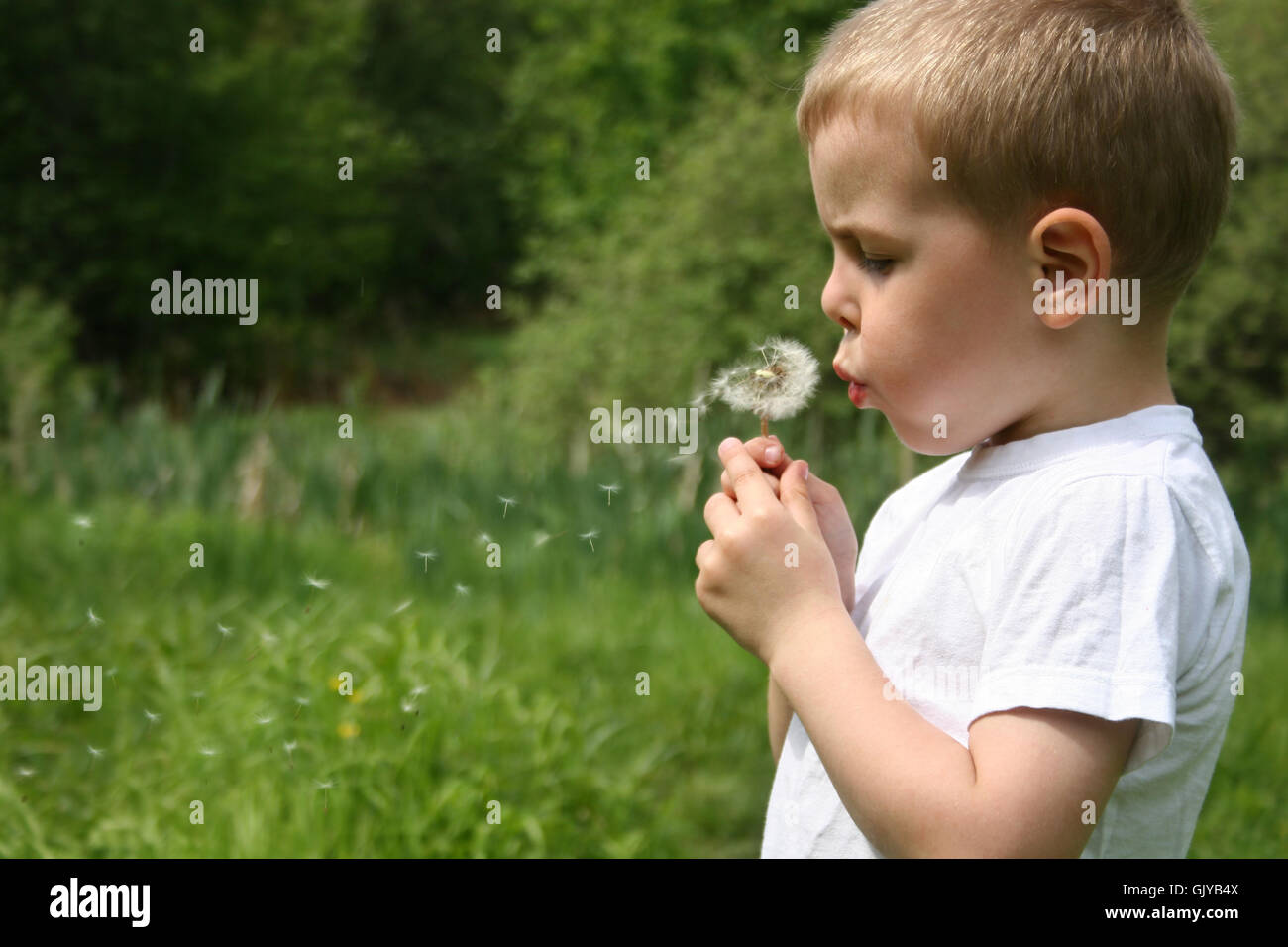 blue humans human beings Stock Photo - Alamy