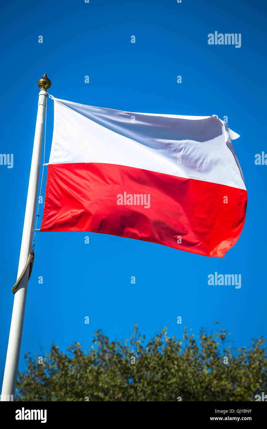 Polish flag on a pole against blue sky Stock Photo - Alamy