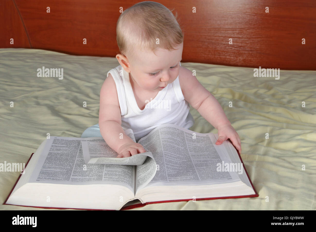 study humans human beings Stock Photo - Alamy