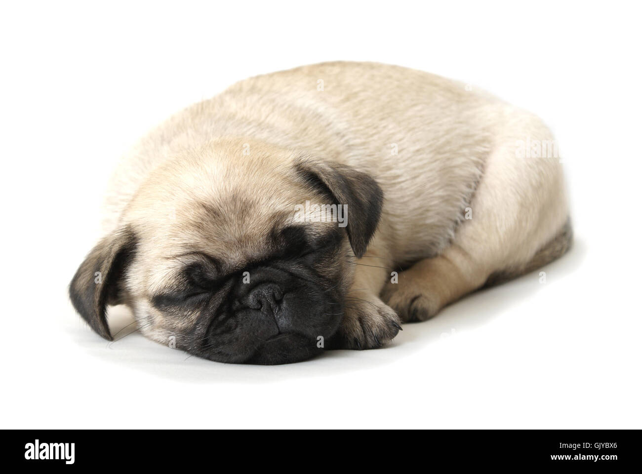 small tiny little Stock Photo - Alamy