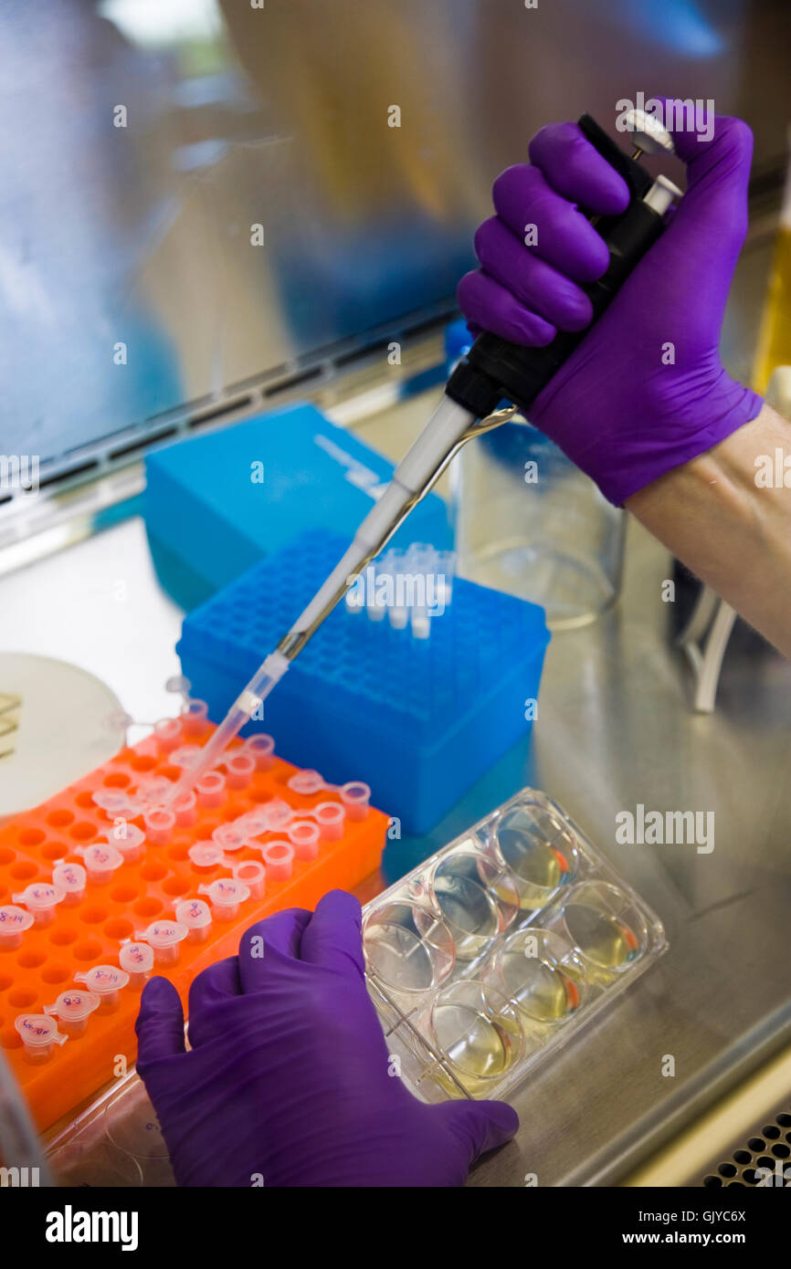 hand hands job Stock Photo - Alamy