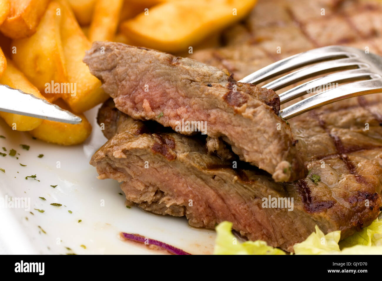 mushroom fungus steak Stock Photo - Alamy