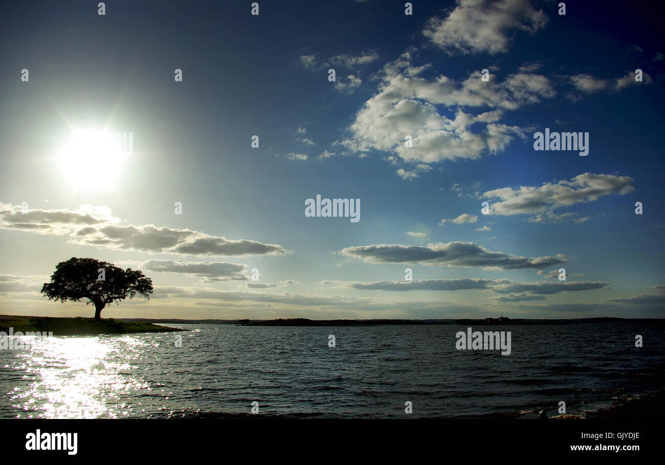 Oak tree reflection hi-res stock photography and images - Alamy