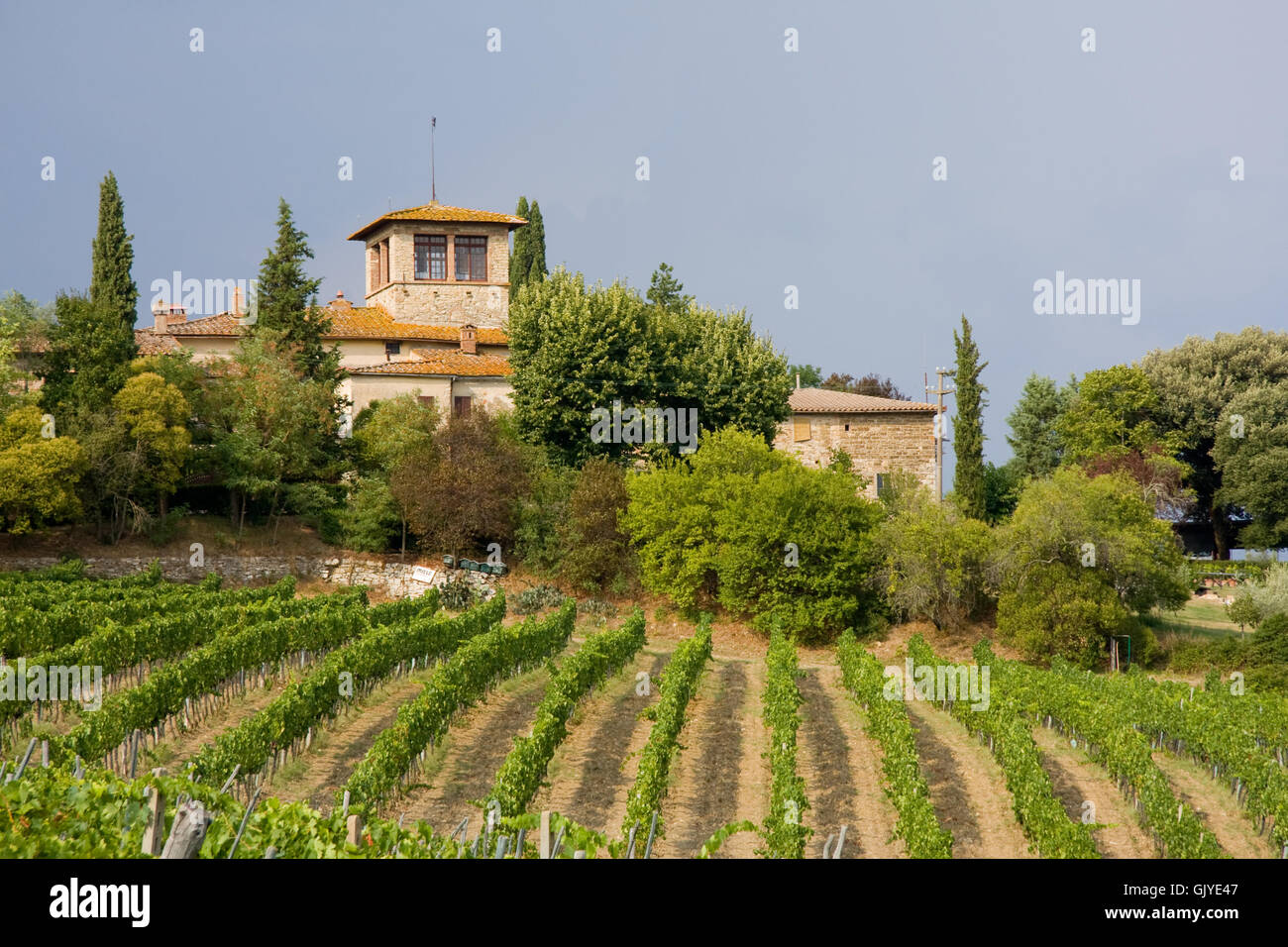 house building vineyard Stock Photo - Alamy