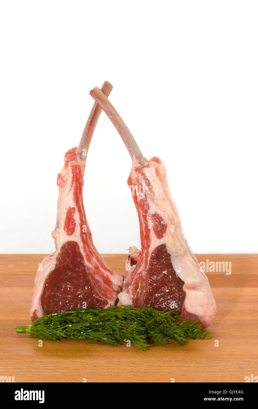 bone food dish Stock Photo - Alamy