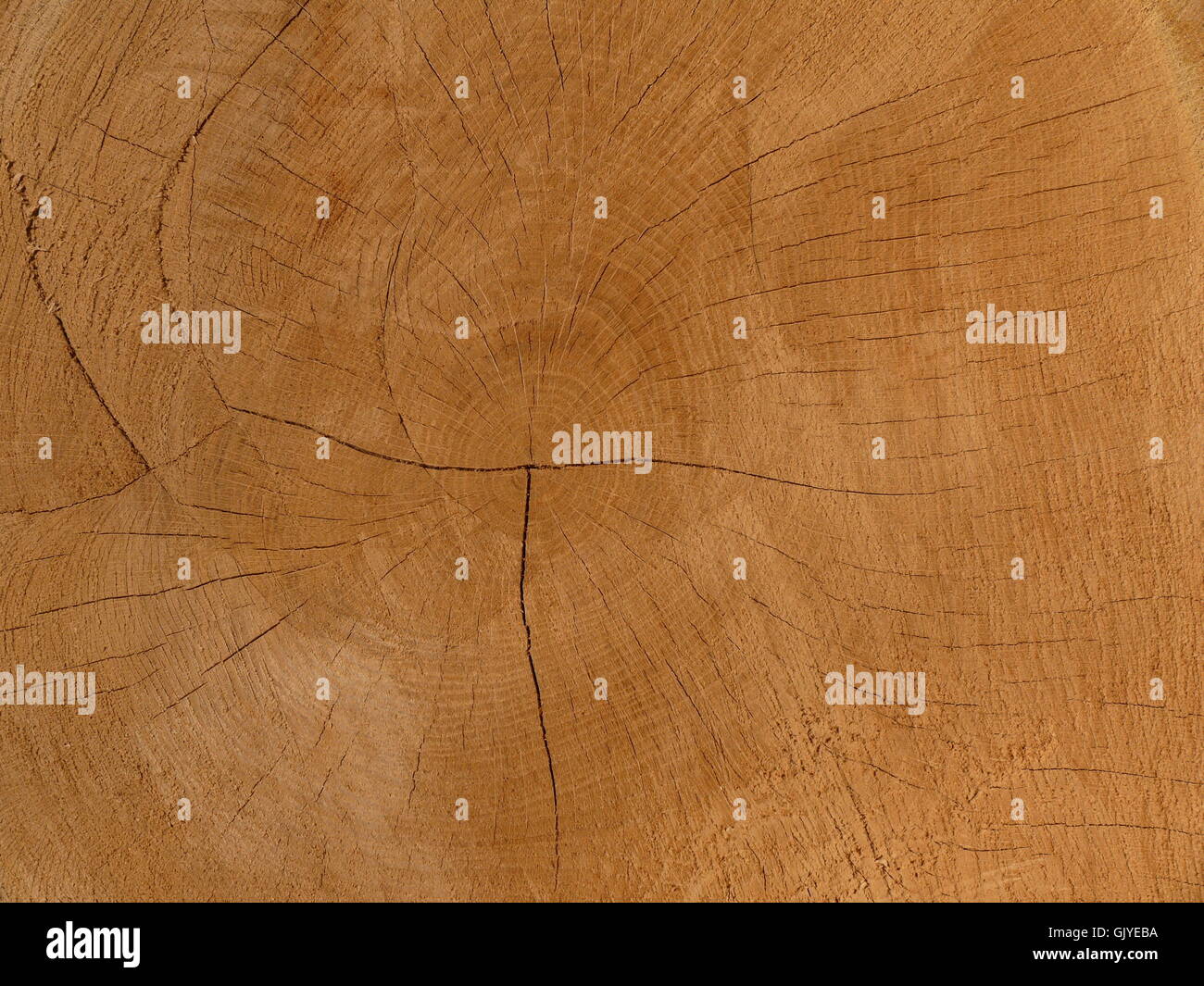 Ring structure hi-res stock photography and images - Alamy