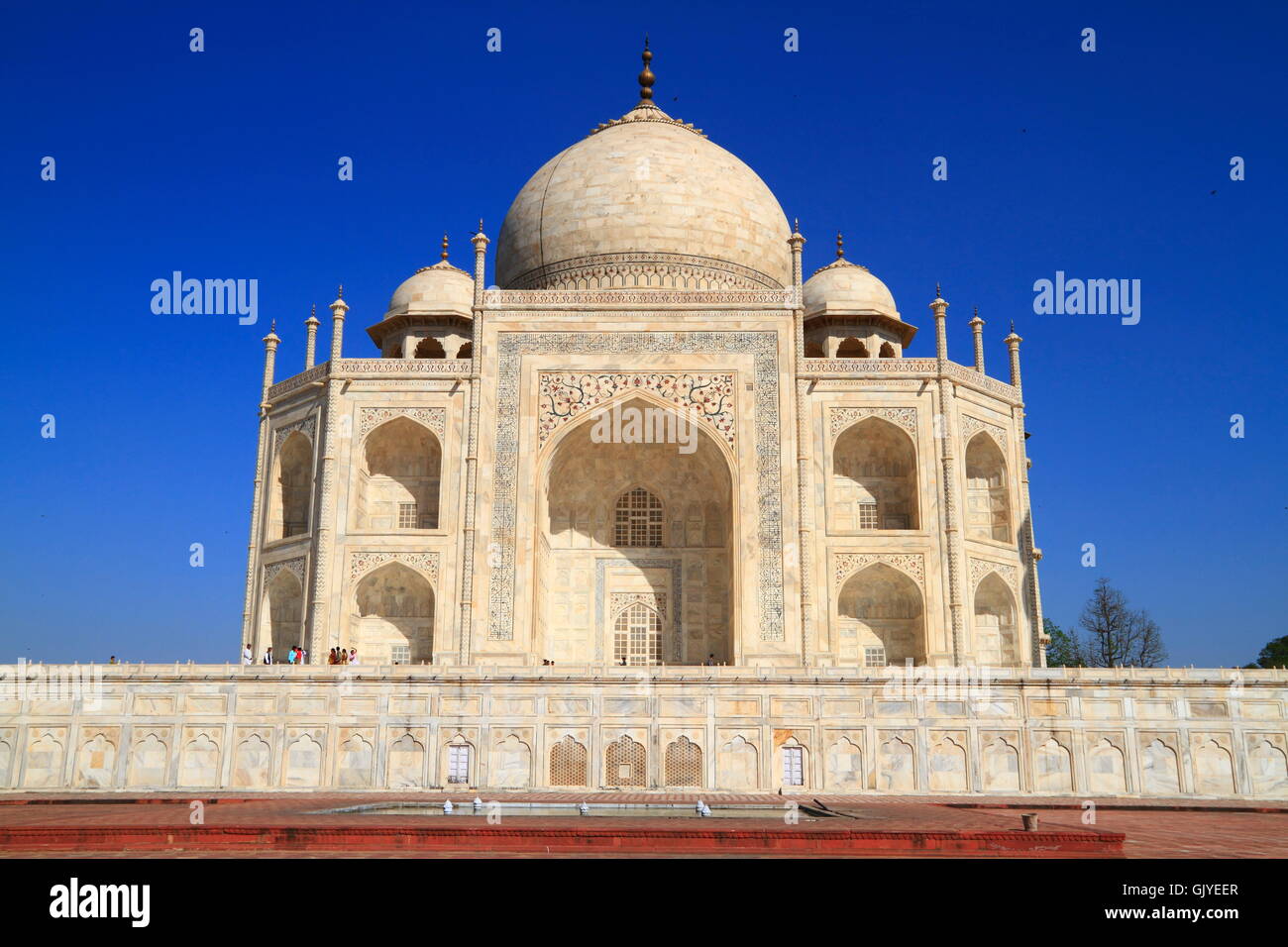 the taj mahal Stock Photo - Alamy