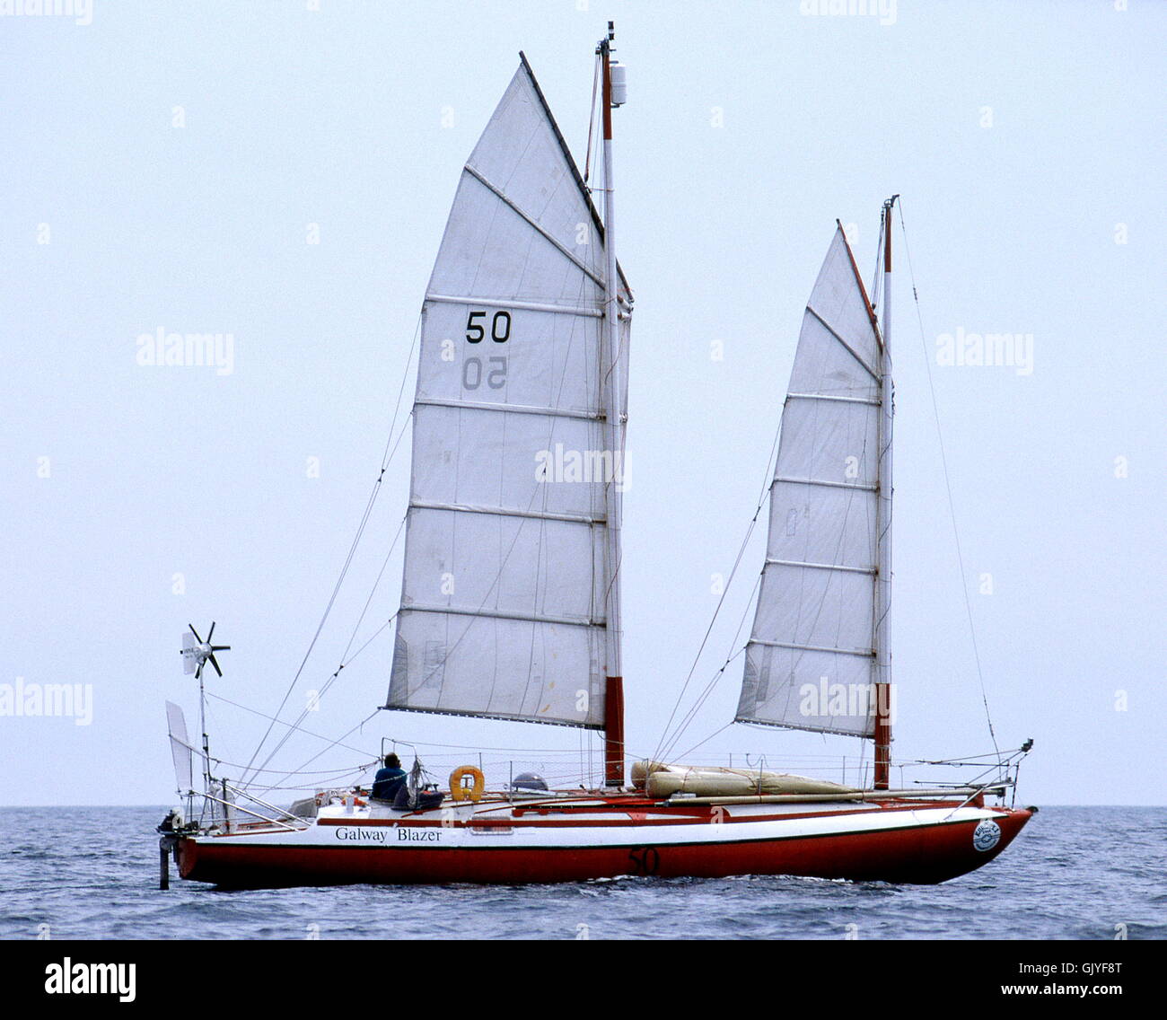 Angus primrose designer hi-res stock photography and images - Alamy