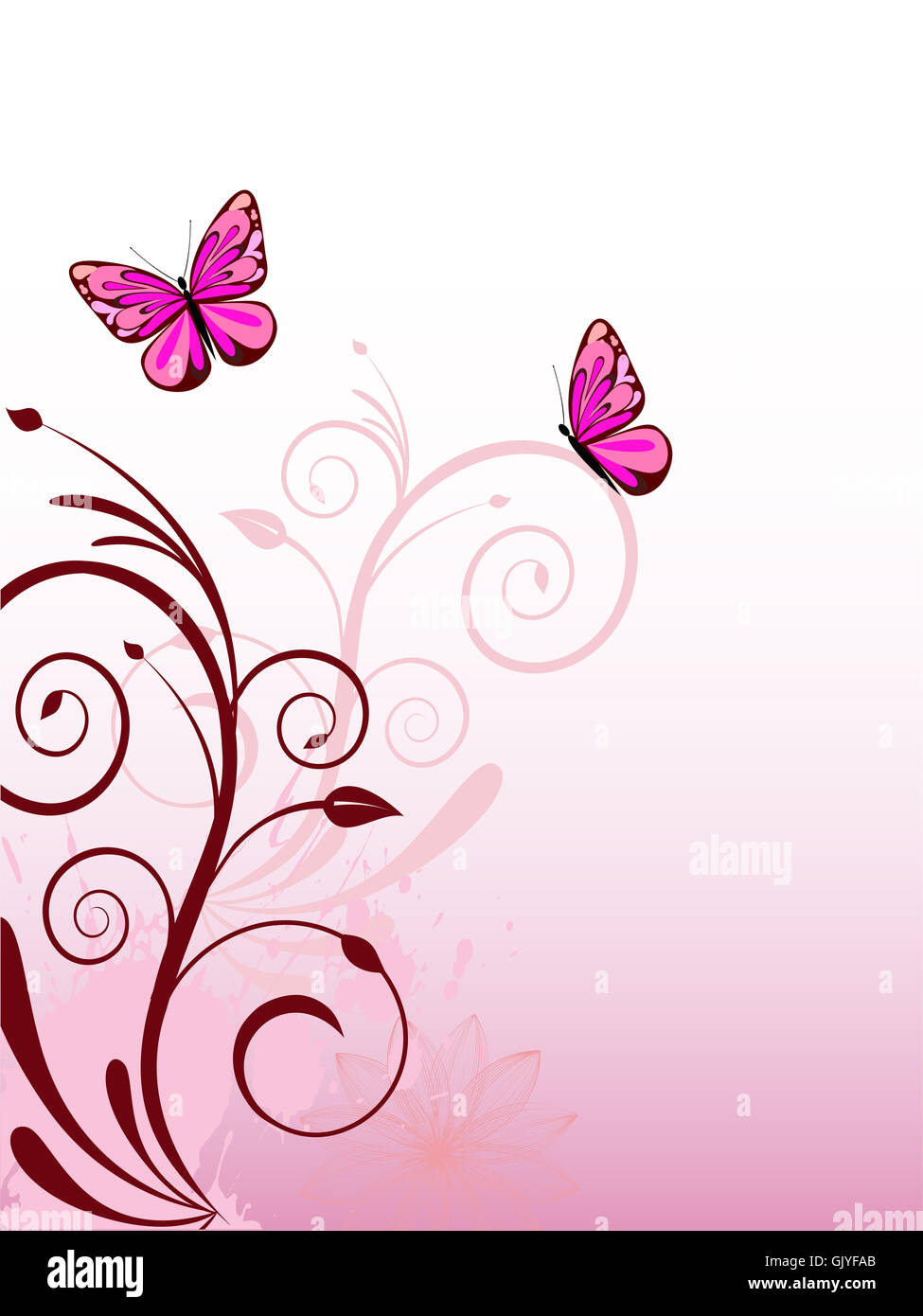 flower plant butterfly Stock Photo - Alamy