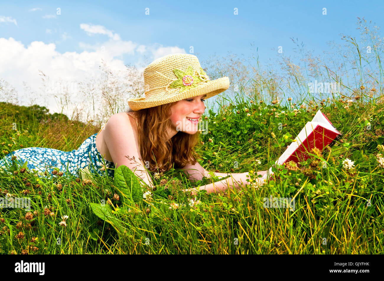 field summer summerly Stock Photo - Alamy